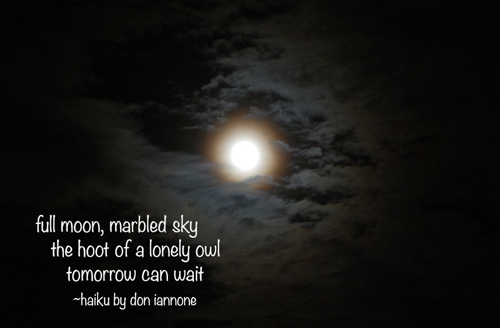 Haiku Moment – Poetic Alchemist