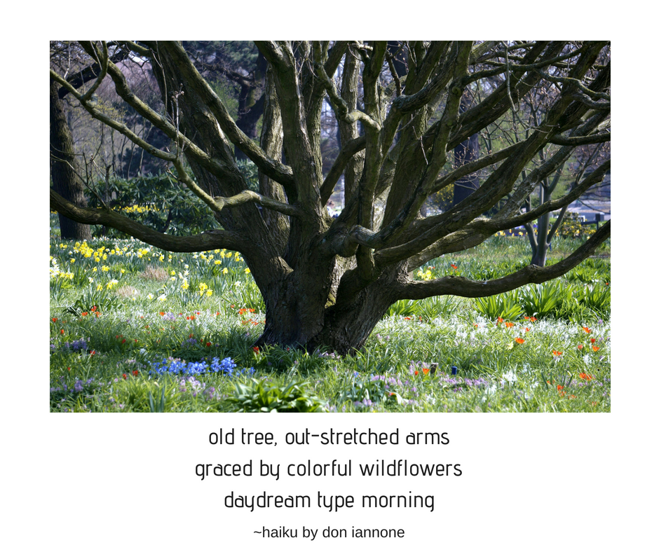 Sunday Haiku Moment – Poetic Alchemist