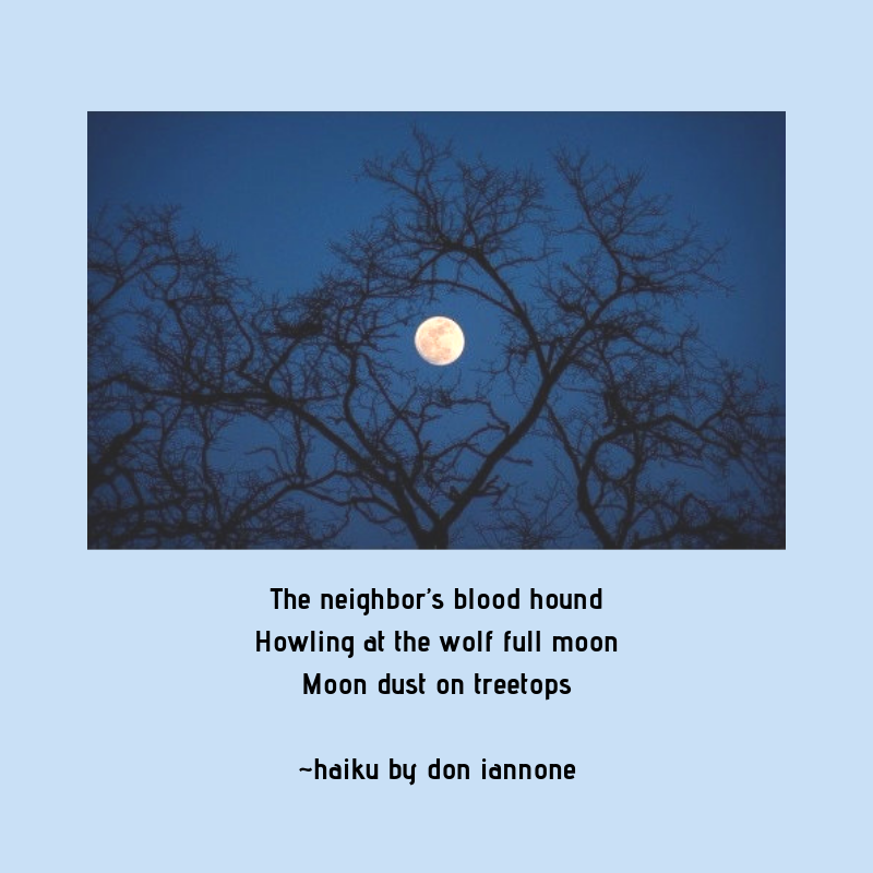 Full Wolf Moon Poem Valerie Lawson Poetry Wolf Moon